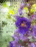 Genuary 2023 | Katarina Hoeger